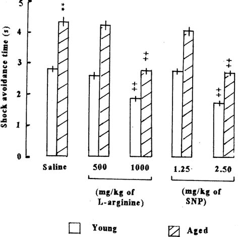 Shock Avoidance Time S Of Young And Aged Rats 15 Min After The Download Scientific Diagram