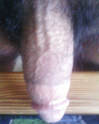 LEGEND LONG DONG SILVER Porn Pictures XXX Photos Sex Images 1478343 PICTOA