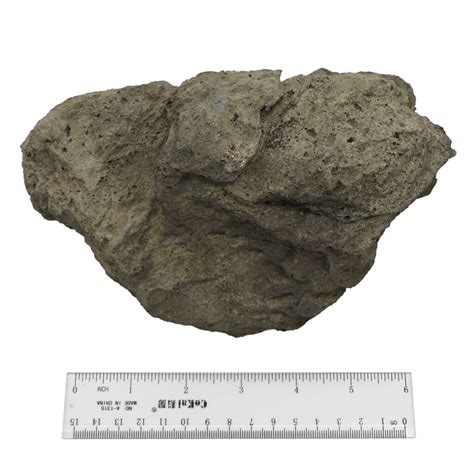 Small Aquascaping Rock Custom Aquariums