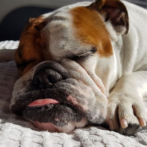 National Napping Day March 10 2025 National Today