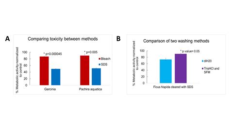 Two Methods For Decellularization Of Plant Tissues For Tissue Engineering Applications