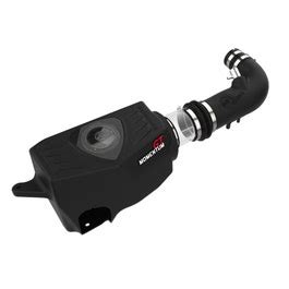 Momentum Gt Cold Air Intake System Wpro Dry S Filter Afe Power