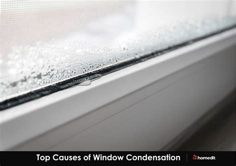 Condensation On Window