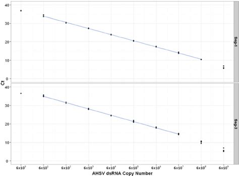 standard curves for ct value against rna copy number for seg 1 and