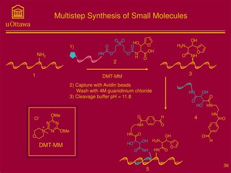 Ppt Dna Templated Synthesis Principles Of Evolution In Organic