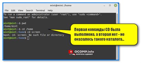 Команды Linux для начинающих знакомство с терминалом на примере Mint Ubuntu Debian