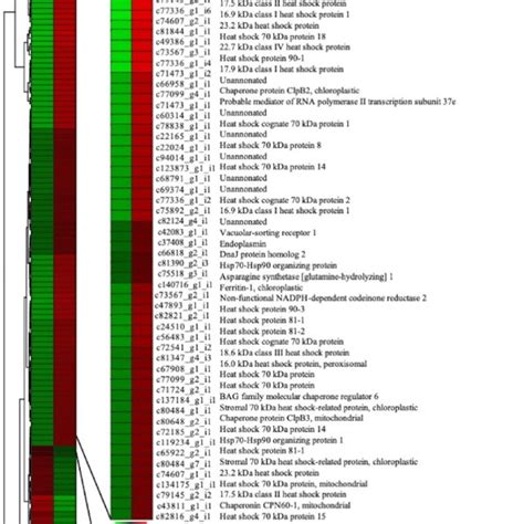 Differential Expression Gene Analysis Heatmap Showing The Expression
