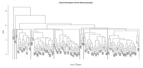 Cluster Dendrogram Of 132 Accessions Evaluated For Nutrient Use Efficiency Download