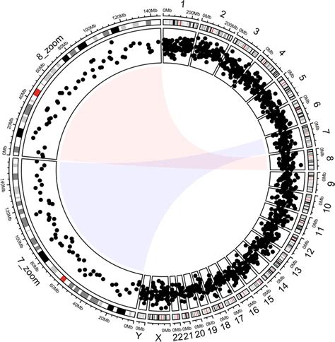 Frontiers Circlizeplus Using Ggplot2 Feature To Write Readable R Code For Circular Visualization