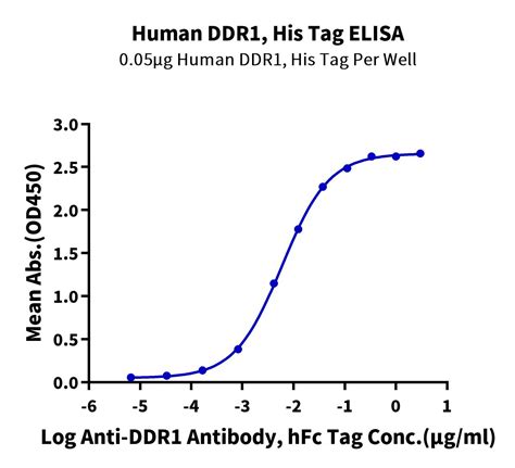 Human Ddr1 Protein Ddr Hm1r1 Kactus