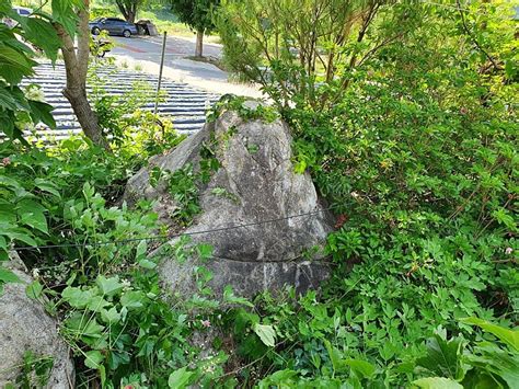 자연석 조경석 산업자재 중고나라