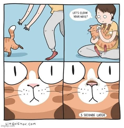 A Cats Way Of Thinking Imgflip