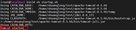 linux——安装tomcat并部署项目 linux部署tomcat csdn博客