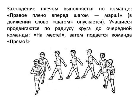 Способы ходьбы, передвижения, фигурной маршировки - online presentation