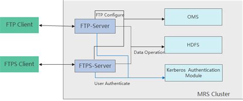 Figure 2 FTP-Server data access process