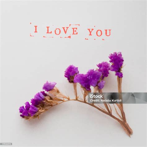 텍스트 나는 말린 보라색 꽃으로 장식 된 흰색 배경에 우표에 입력 된 영어로 당신을 사랑합니다 발렌타인 데이 어머니의 날 로맨틱 한 노트용 엽서 스퀘어 배너 컨셉 개념에