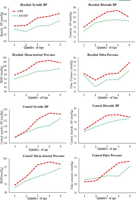 Figure 1 From Impact Of The Mthfr C677t Polymorphism On Blood Pressure