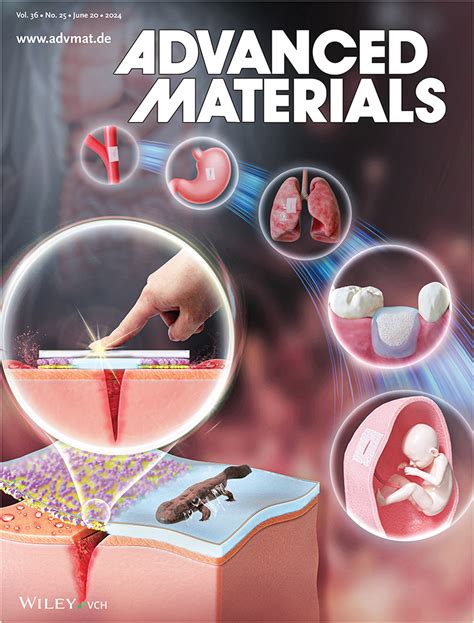 A Nature‐derived Hetero‐structured Pro‐healing Bioadhesive Patch For High‐performance Sealing