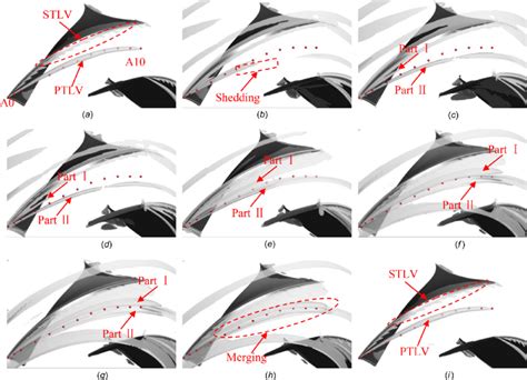 Spatial Temporal Tlv Evolution In An Impeller Rotational Period T D 5 Download Scientific