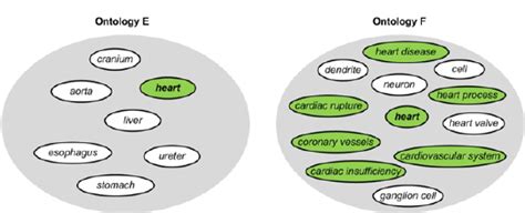 Sets Of Concepts For Two Example Ontologies Download Scientific Diagram