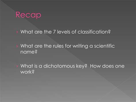 Ppt Classification Sorting It All Out Powerpoint Presentation Free