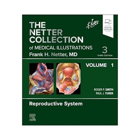 Netter Illustration Of Pregnancy The Netter Collection Of Medical