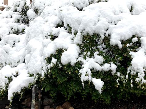 Docker Ee Or Ce Which One To Choose Goglides Tech