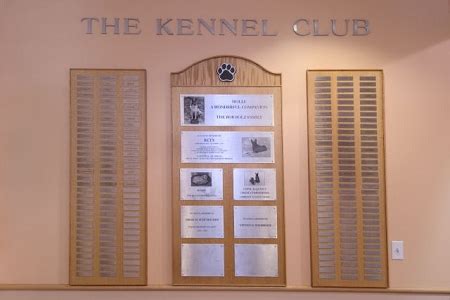 Humane Society Donor Wall