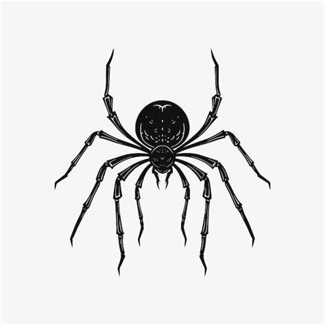 Premium Vector The Intricate Design Of A Spider