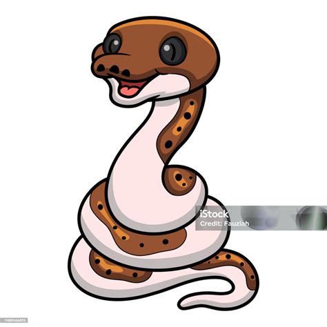 Kartun Python Reticulated Pied Lucu Ilustrasi Stok Unduh Gambar Sekarang Alam Albinisme
