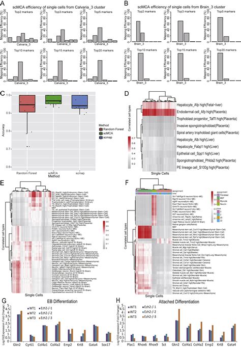 Mapping The Mouse Cell Atlas By Microwell Seq Cell