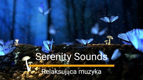 Dźwięki medytacji Meditation Music Relaxation Music Музыка для релакса ...