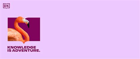 Beginners Step By Step Coding Course Learn Computer Programming The