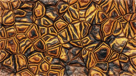 Zany Wall Abstract Pencil Digital Art By Don Northup Fine Art America