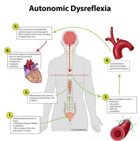Exam 10 Client Need Areas Cpr Below Passing Flashcards Quizlet
