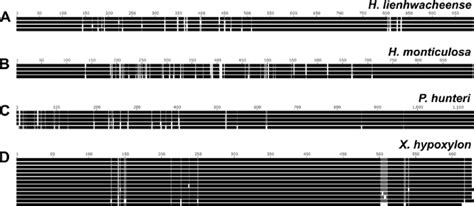 Infragenomic Polymorphism Between The Its Regions Of The Identified And