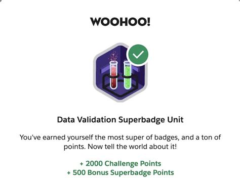 Chynara A On Linkedin Salesforce Trailhead Superbadge