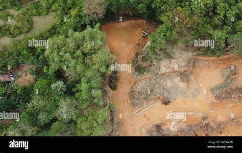 Aerial View Of Deforestation And Land Clearing With An Excavator At