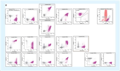 Jle Annales De Biologie Clinique Atlas Dimages De Cytométrie En