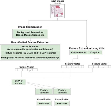 Automatic Detection Of Osteosarcoma Based On Integrated Features And Feature Selection Using