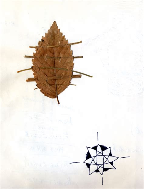 Leaf Ladder Star George Horner