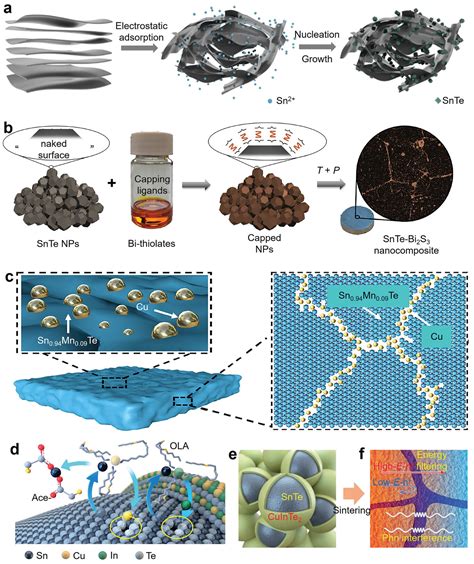 Advances And Challenges In Snte‐based Thermoelectrics Wang 2025