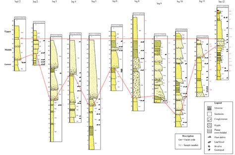 Lithostratigraphic Correlation Of 11 Measured Sections Of The Upper Doi Download Scientific