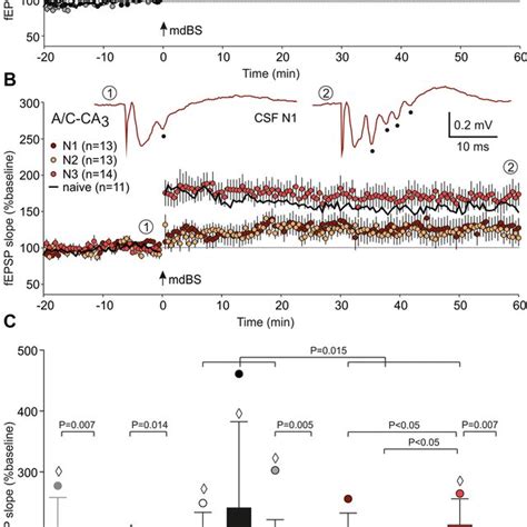 A C Fiber Ca3 Long Term Potentiation Ltp A Time Course Of The Mean Download Scientific