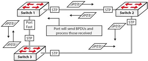生成树协议 Ccna60d Chinese 中文版 Ccna 60 Days