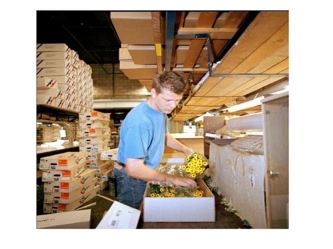 Cut Flower And Loose Flower Grading Packaging And Storage Techniques