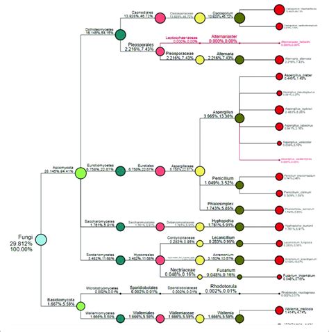 species classification tree