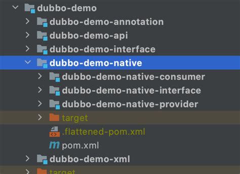 native image using graalvm apache dubbo