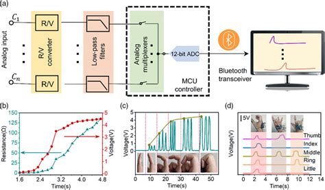 Real‐time Human Postures Detection A The Circuit Diagram Showing The