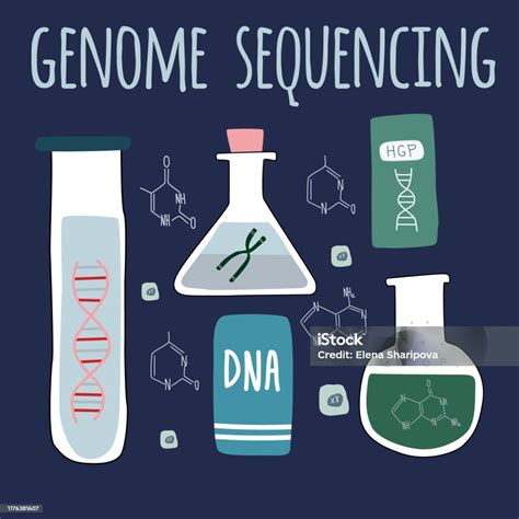 Dna Sequencing Cartoon